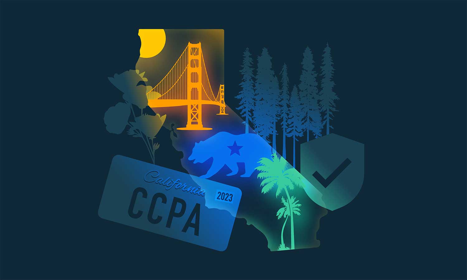 Guide to Consent Management | DataGrail